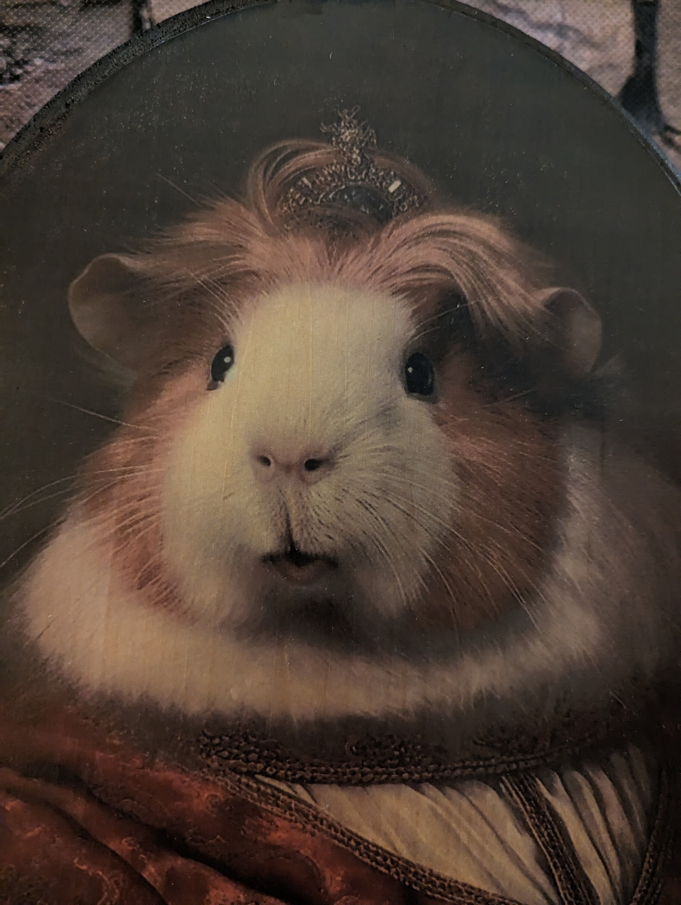 Guinea Pig Female Tiara Victorian Portrait - Vintage Style Animal ...