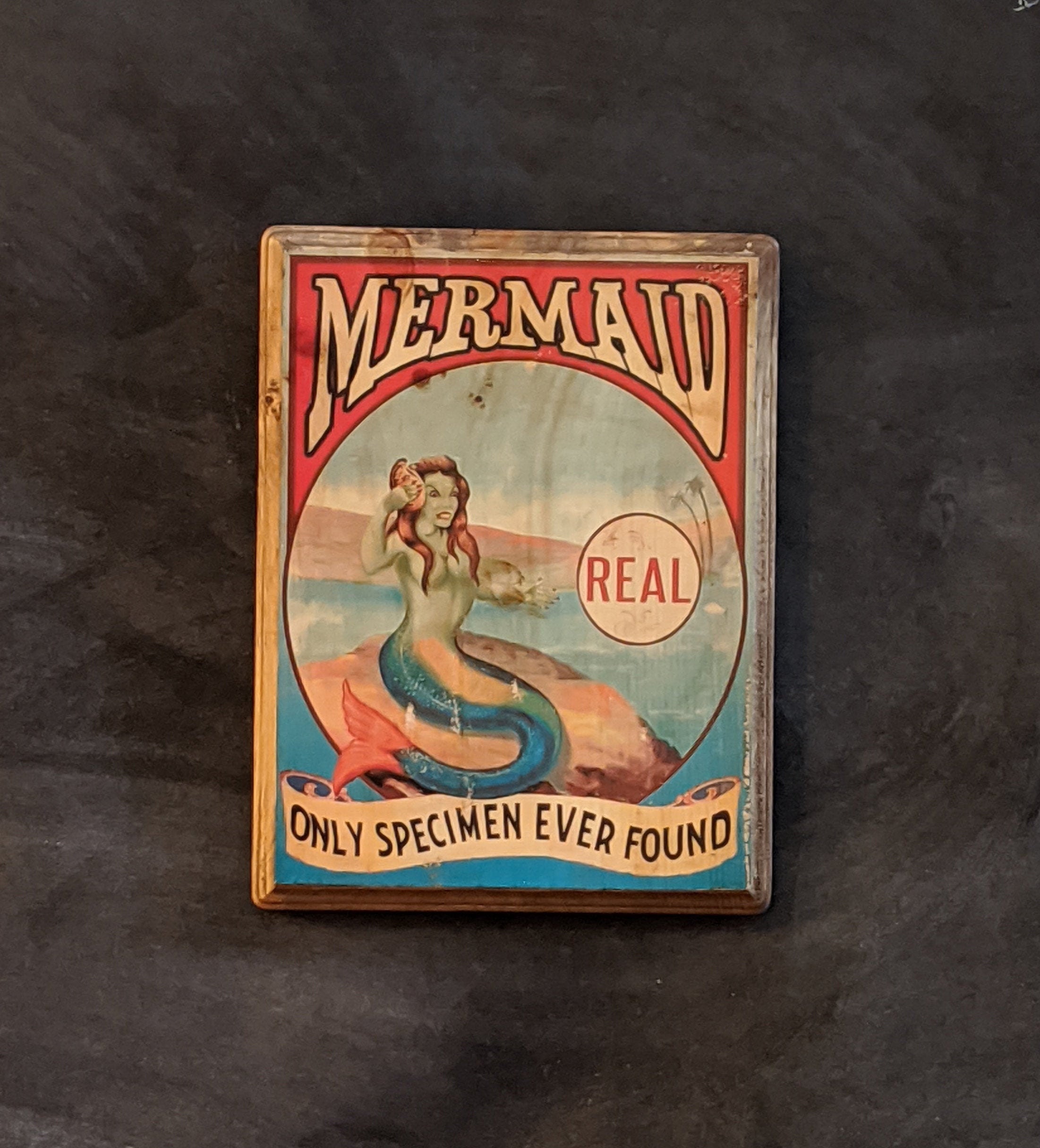 Mermaid Live Specimen Freak Show Sideshow Vintage Art Hanging - Etsy