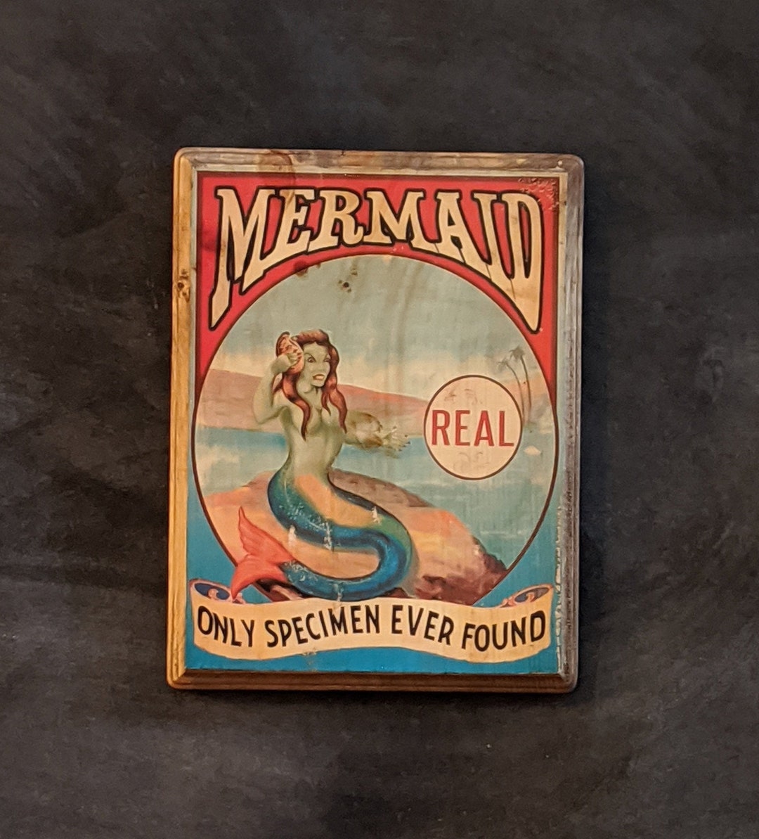 Mermaid Live Specimen Freak Show Sideshow Vintage Art Hanging Plaque ...