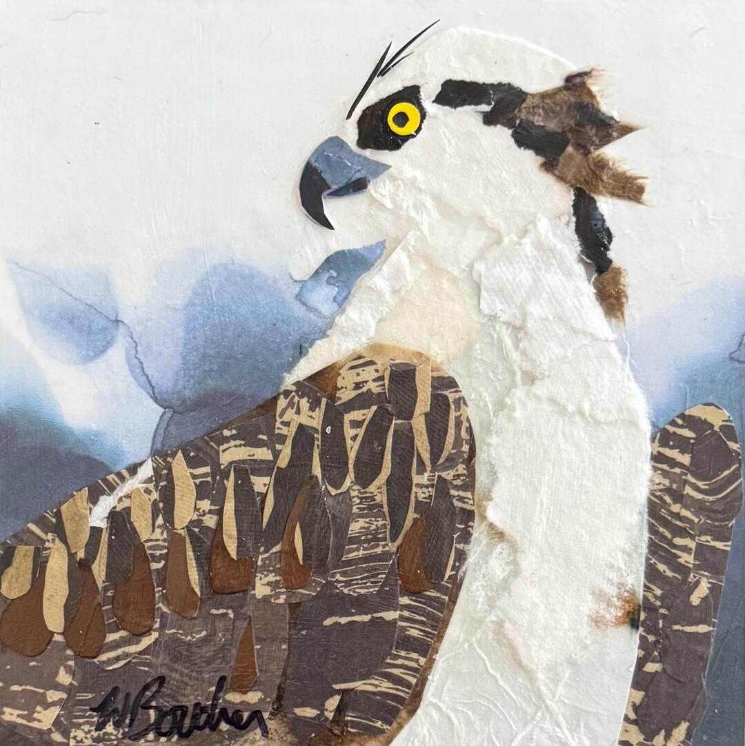 Paper Collage Art, Winter Osprey, 6x6”, by Wendy Boucher, Ready to Hang ...