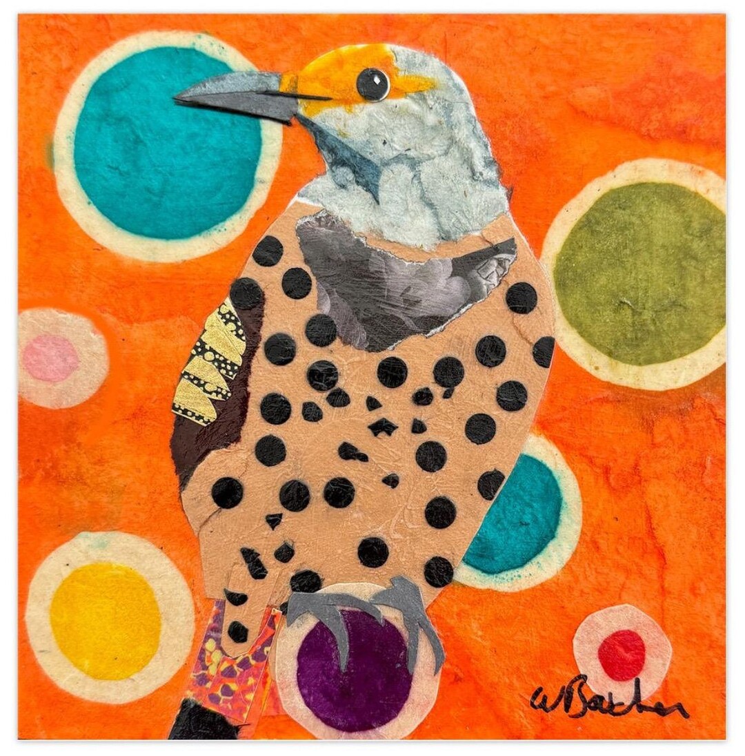 Northern Flicker by Wendy Boucher, Mounted Wee Fine Art Print (not a ...