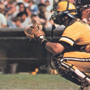 1982 CHICAGO CUBS Print Vintage Baseball Poster, Retro Baseball Poster ...