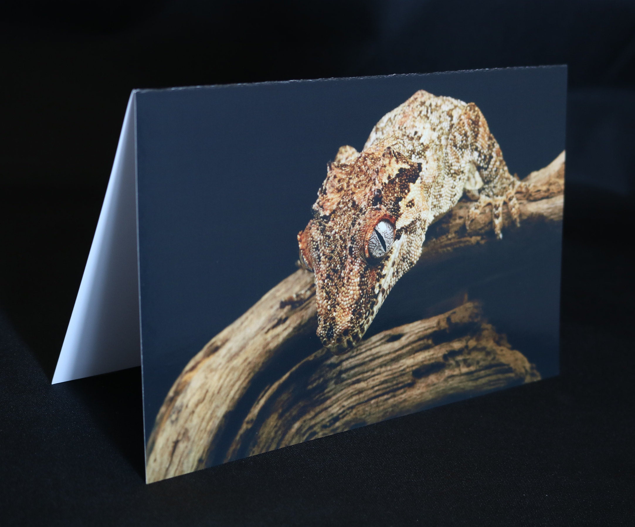 Gecko Card / Wildlife Card, Animal Card, Thank You Card, Special ...