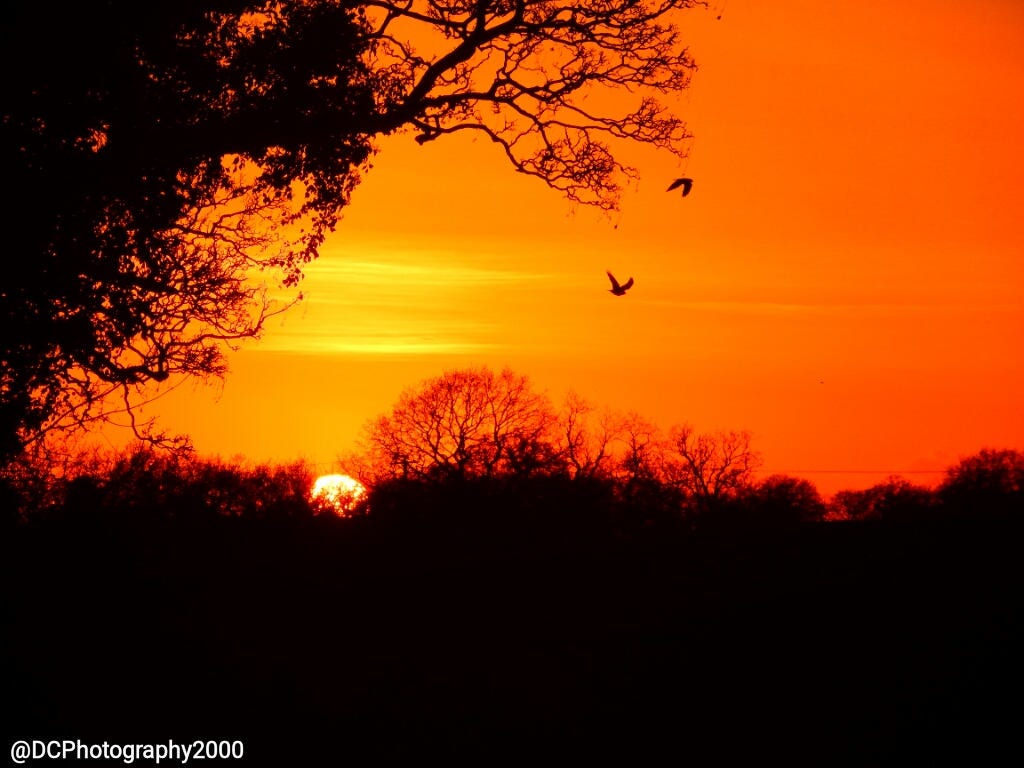 December Sun Print, Mounted Winter Sky Print, Sunset Print, Landscape ...