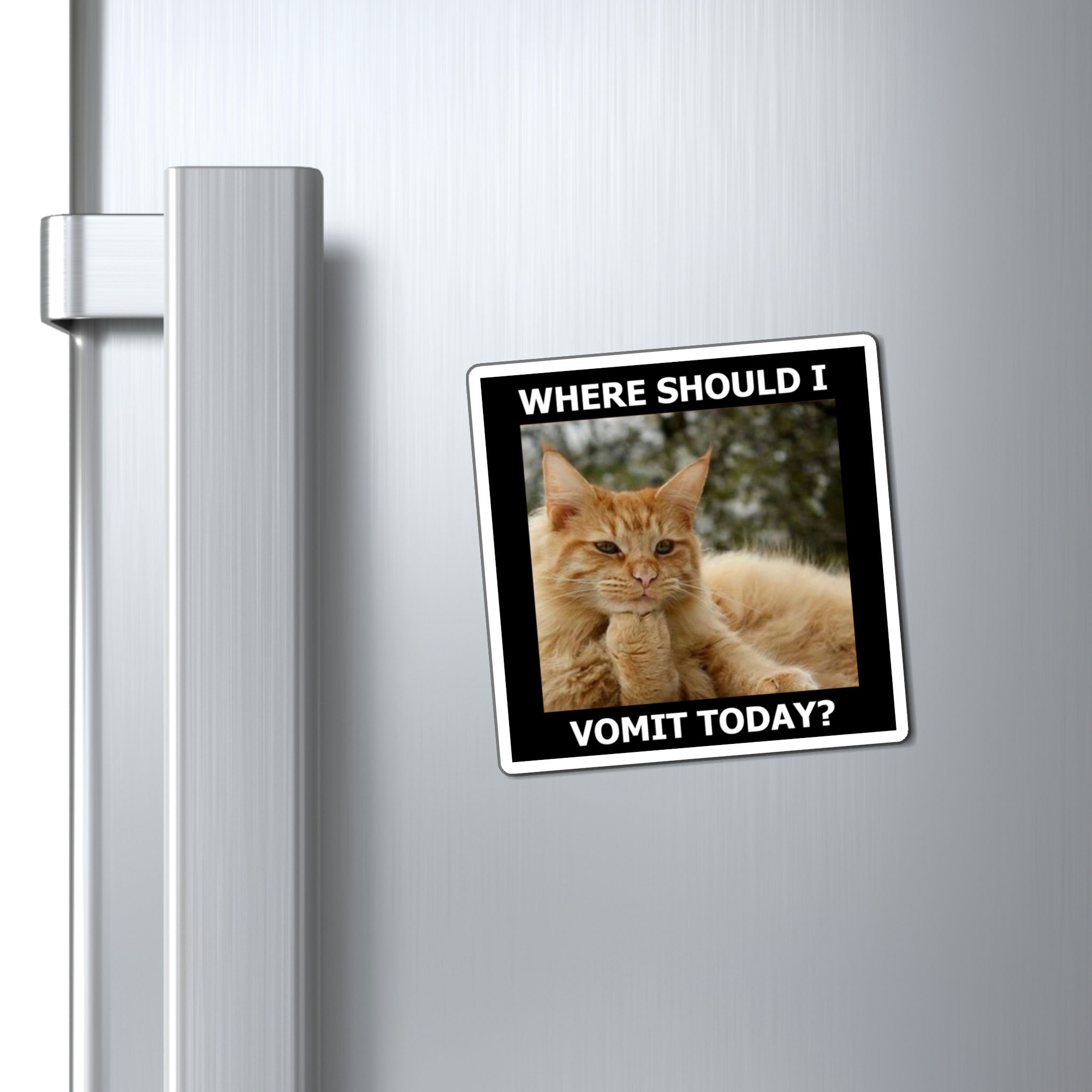 Funny Cat Magnet, Cute Gift for Cat Lover, Magnet for Refrigerator ...