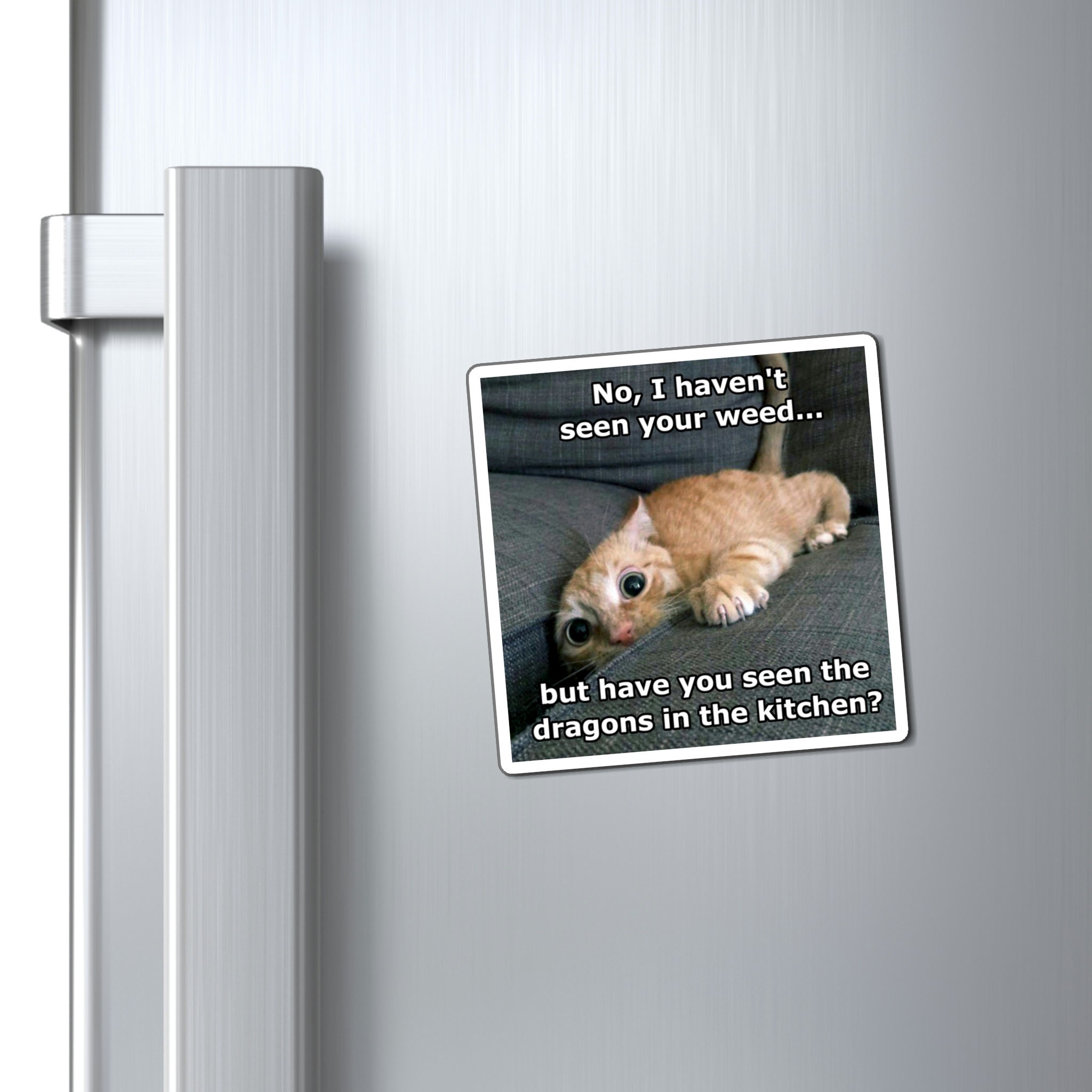 Funny Cat Magnet Cute Gift for Cat Lover Magnet for Refrigerator ...