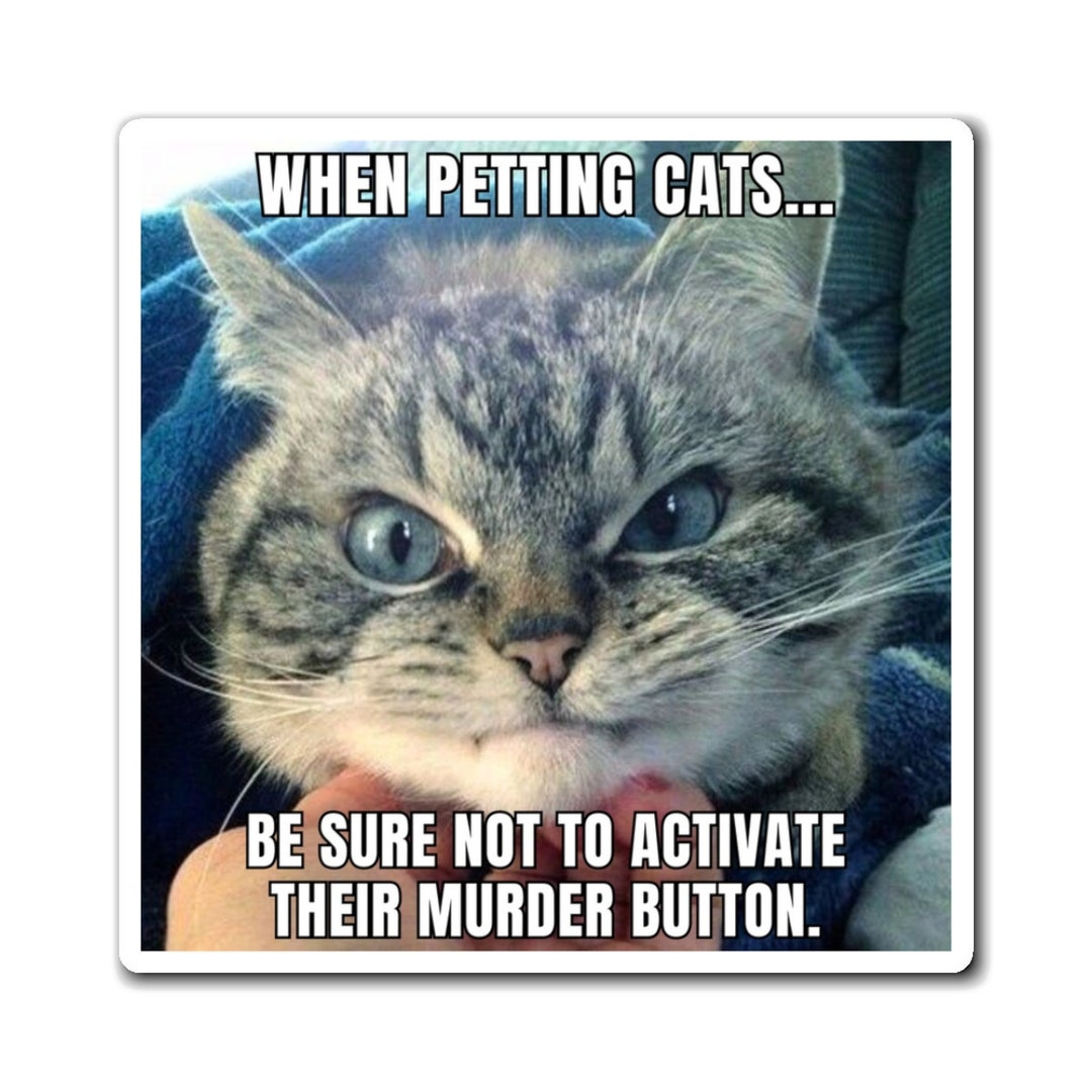 Funny Cat Magnet, Grumpy Grouchy Cat Magnet, Gift for Cat Lovers ...