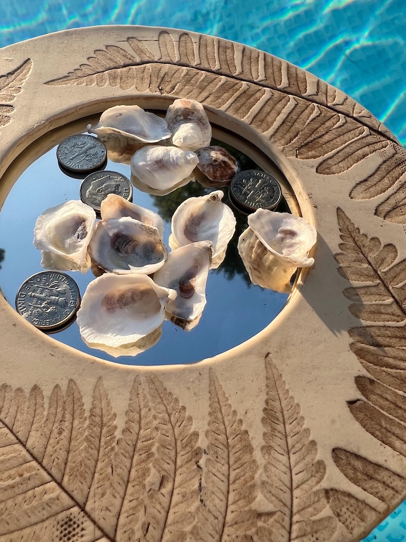 Very Small Oyster Shells 0.5-1 Inch | Sun-bleached Mini Craft Shells ...