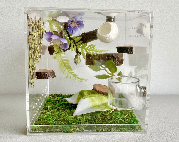 Jumping Spider Enclosure Medium Size Natural Silk Cocoon Hide 4 Inch ...