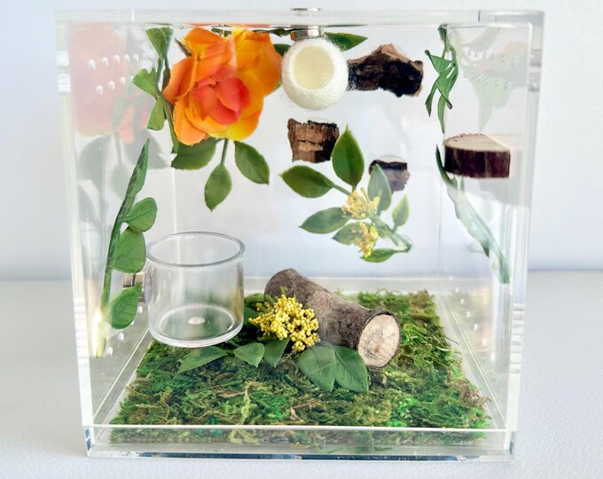 Jumping Spider Enclosure Medium Size Natural Silk Cocoon Hide 4 Inch ...