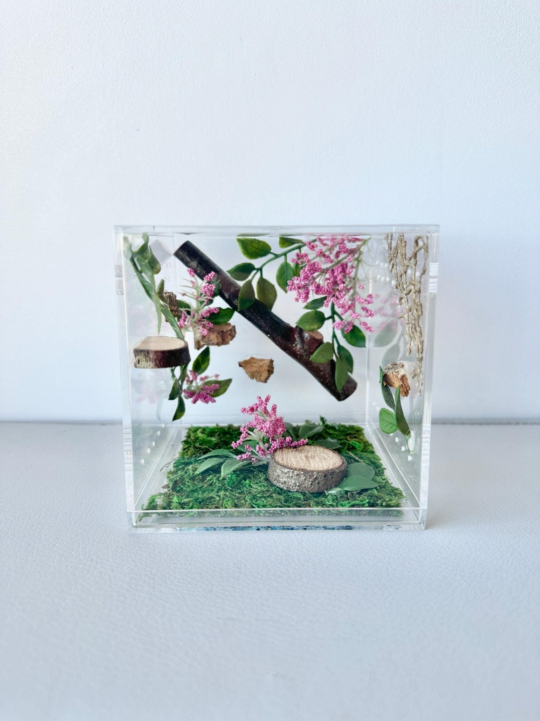 Jumping Spider Enclosure Medium Size Natural Silk Cocoon Hide 4 Inch ...