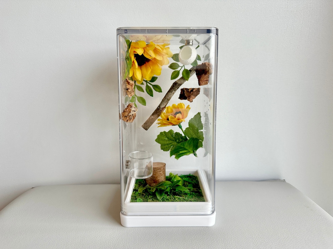 Jumping Spider Enclosure Large 8 Inch Yellow Sunflowers Silk Cocoon ...