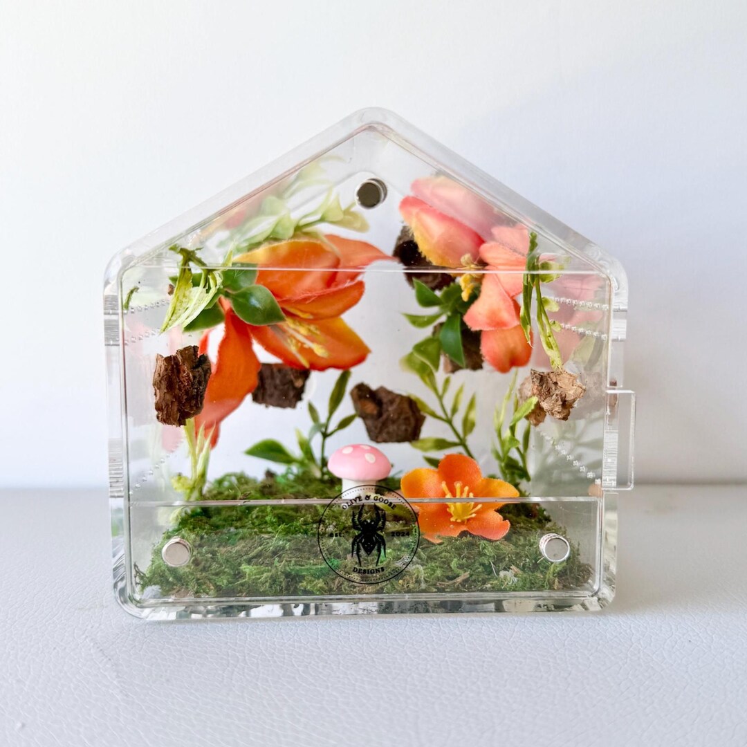 House Shaped Jumping Spider Enclosure: Orange Lillies, Moss & Cork Bark ...