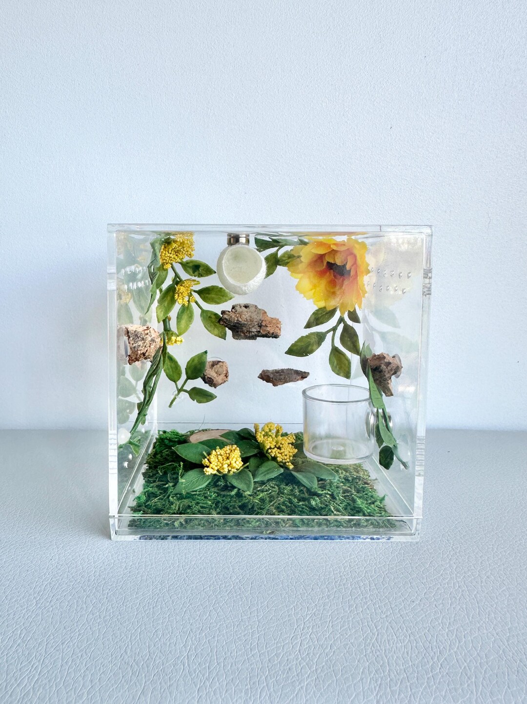 Jumping Spider Enclosure Medium Size Natural Silk Cocoon Hide 4 Inch ...