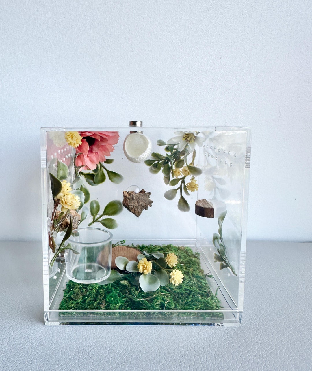 Jumping Spider Enclosure Medium Size Natural Silk Cocoon Hide 4 Inch ...