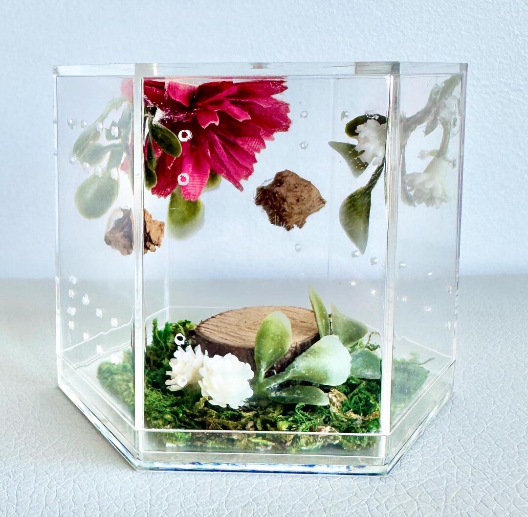 Jumping Spider Enclosure Small Hexagon Shape Natural Silk Cocoon Hide ...