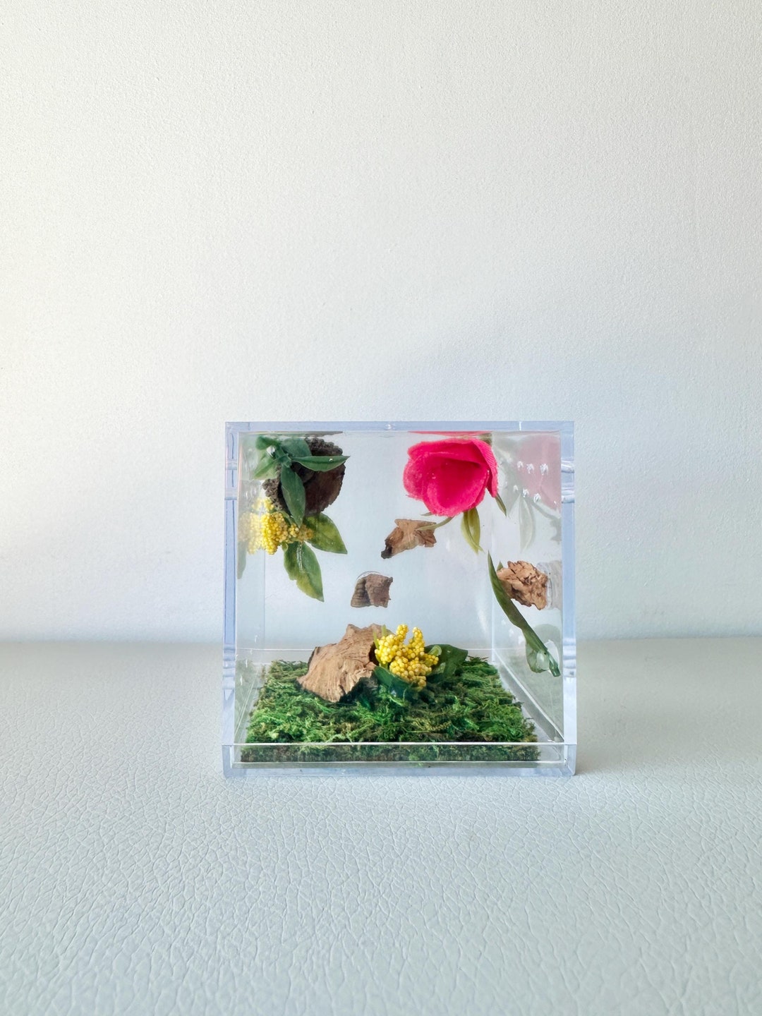 Micro Small Jumping Spider Enclosure Natural Aesthetic Mini Acorn Hide ...