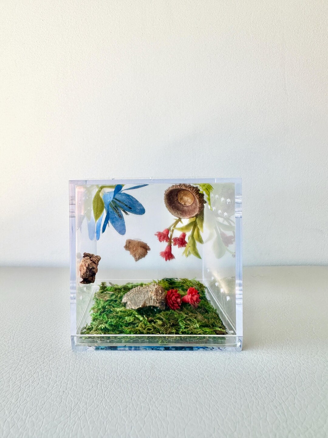 Micro Small Jumping Spider Enclosure Natural Aesthetic Mini Acorn Hide ...