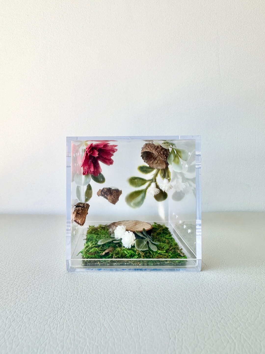 Micro Small Jumping Spider Enclosure Natural Aesthetic Mini Acorn Hide ...