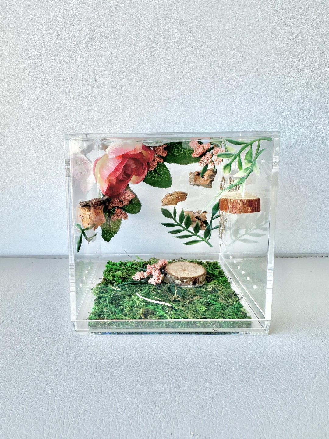 Jumping Spider Enclosure Medium Size Natural Silk Cocoon Hide 4 Inch ...