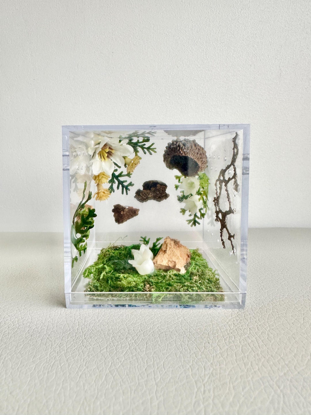 Micro Small Jumping Spider Enclosure Natural Aesthetic Mini Acorn Hide ...