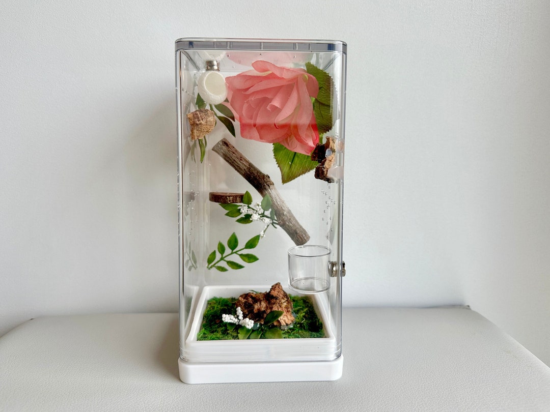 Jumping Spider Enclosure Large 8 Inch Pink Rose Silk Cocoon Hide Clear ...