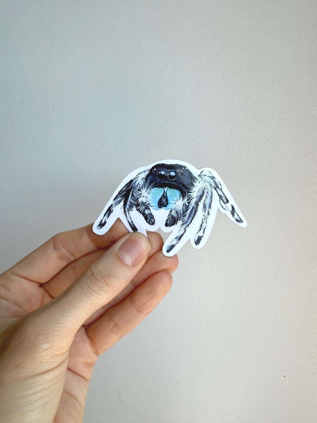 Jumping Spider Magnet Fridge Decor Locker Cubicle Magnets Insect Lover ...