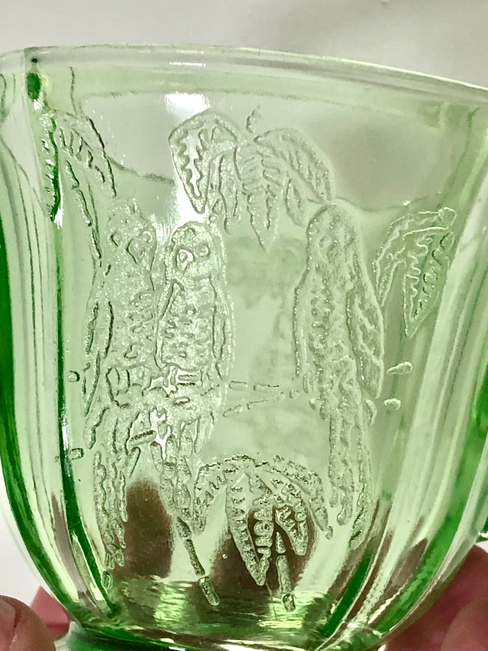 Federal Glass Co. Rare Parrot Pattern Uranium Glass Open Sugar and ...