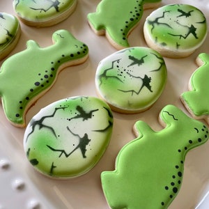 12 T Rex Sugar Cookies/ Dino Eggs Cookies - Etsy