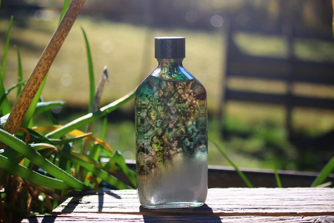 Storm Glass | Greenie | Weather Predictor - Glass Barometer - Rustic ...