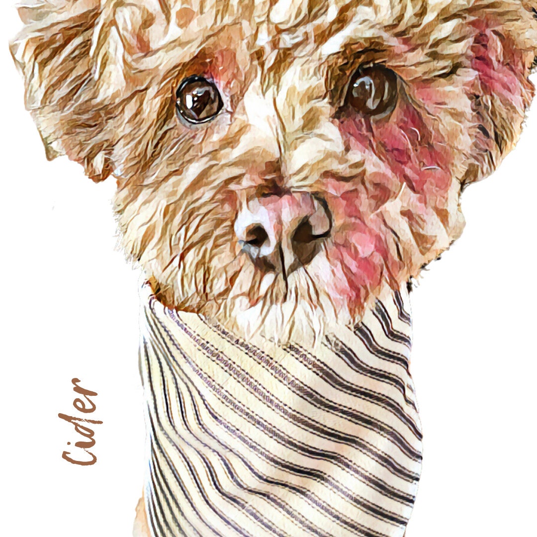 Custom Pet Portrait, Art Print, Best Gift Idea for Friends and Family ...