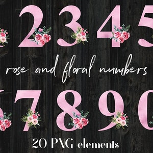 Pale Rose and Floral Numbers Clipart Rose Foil and Watercolor - Etsy