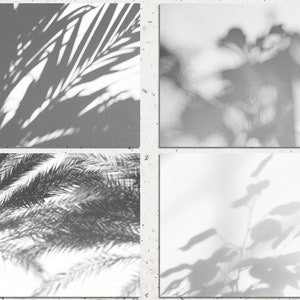 Plant Shadow Overlays, Leafy Shadows Digital Paper, Photo Overlay ...