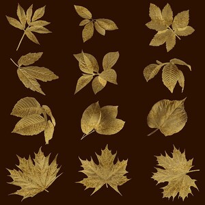 Gold Leaf, Autumn Leaves Clipart, Gold Leafing Foil Overlays, Gold Foil ...