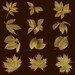 Gold Leaf, Autumn Leaves Clipart, Gold Leafing Foil Overlays, Gold Foil ...