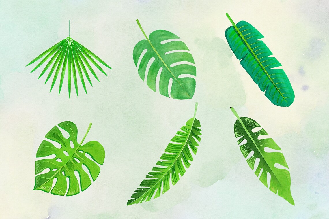 Watercolor Tropical Leaves Watercolor Palm Leaf Monstera - Etsy