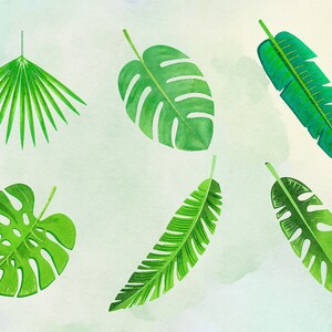 Watercolor Tropical Leaves, Watercolor Palm Leaf, Monstera Palm Leaf ...
