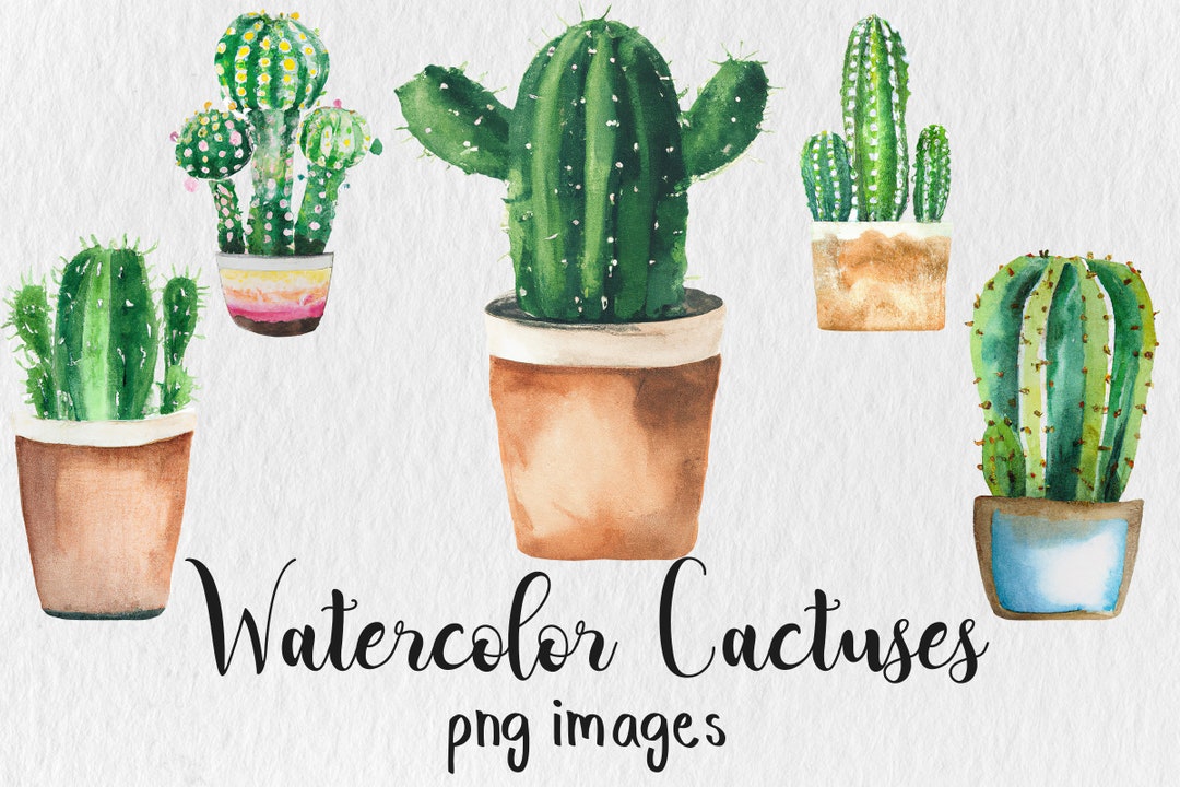 Watercolor Cactus Clipart, Hand Drawn Cacti, Watercolor Plants, Cute ...