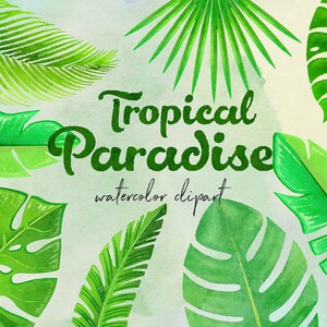Watercolor Tropical Leaves, Watercolor Palm Leaf, Monstera Palm Leaf ...