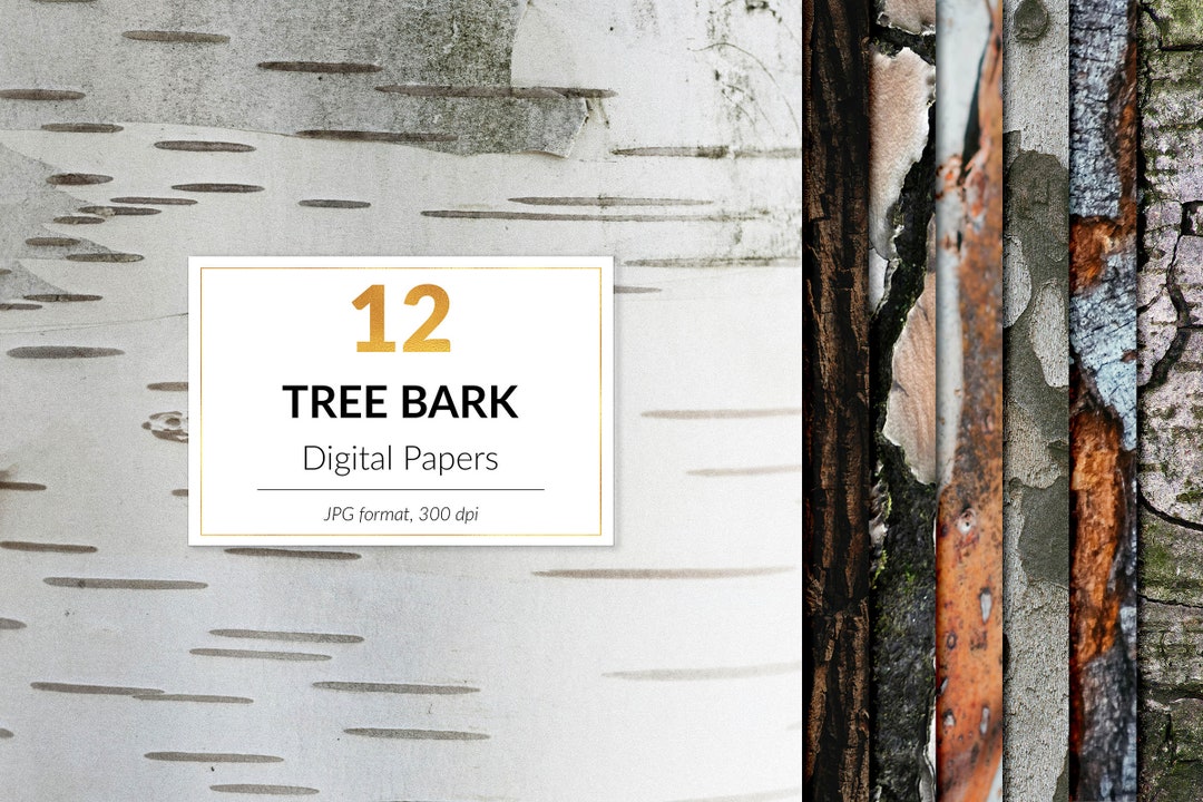 Tree Bark Digital Paper, Rustic Tree Bark Textures, Wood Printable ...