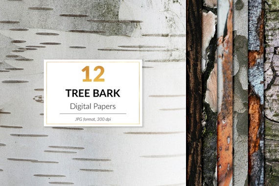 Tree Bark Digital Paper Rustic Tree Bark Textures Wood - Etsy