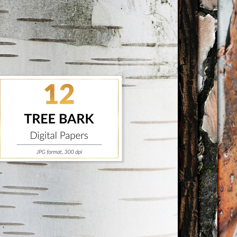Aspen Bark Paper - Etsy