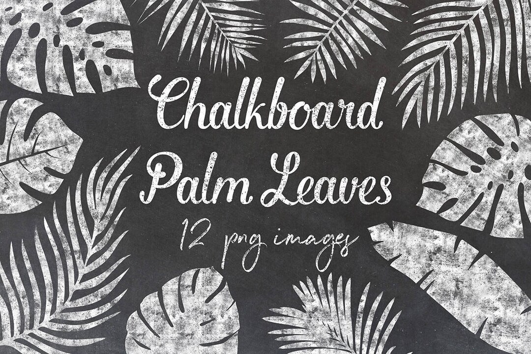 Chalkboard Palm Leaves Clipart, Exotic Chalkboard Clipart, 12 Png ...