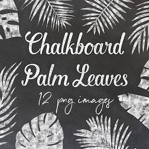 Chalkboard Palm Leaves Clipart, Exotic Chalkboard Clipart, 12 Png ...