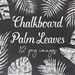 Chalkboard Palm Leaves Clipart, Exotic Chalkboard Clipart, 12 Png ...