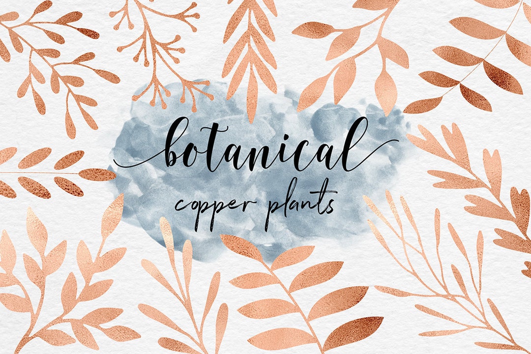 Copper Plants, Copper Botanical Clipart, Hand Painted Copper Plants ...