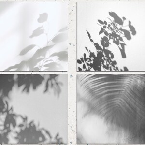 Plant Shadow Overlays, Leafy Shadows Digital Paper, Photo Overlay ...