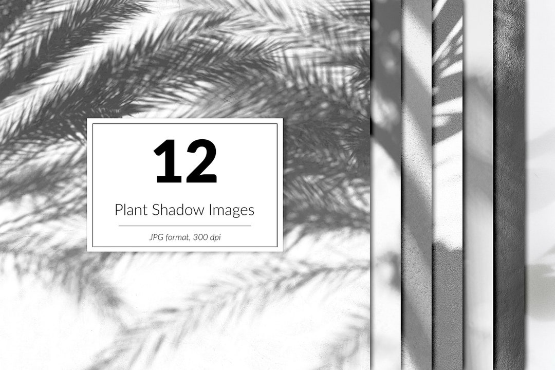 Plant Shadow Overlays, Leafy Shadows Digital Paper, Photo Overlay ...