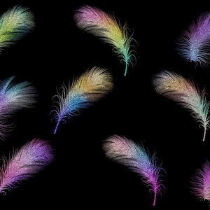 Glitter Feathers Clipart Sparkle Feather Images Galaxy - Etsy Australia