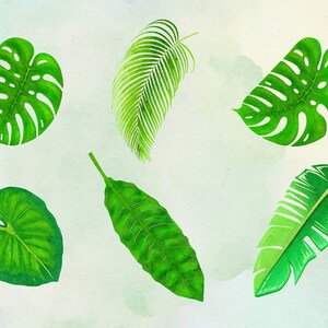 Watercolor Tropical Leaves, Watercolor Palm Leaf, Monstera Palm Leaf ...